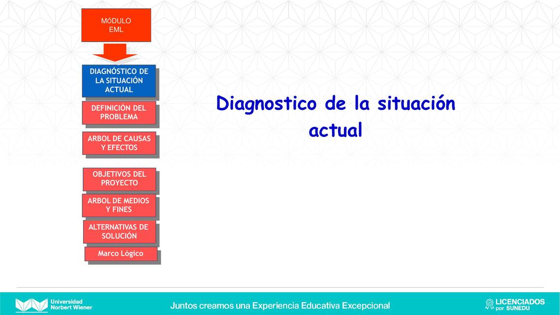 Diagnóstico de la situación actual | Erica AF | uDocz