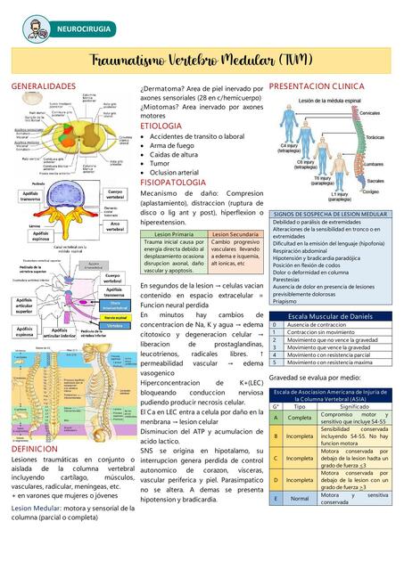Traumatismo Vertebro Medular | Luz Almendra Salas Ccaico | uDocz