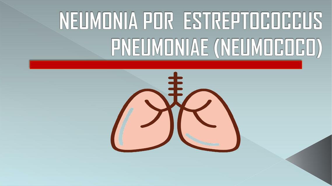 Neumococo | Dr gomez | uDocz