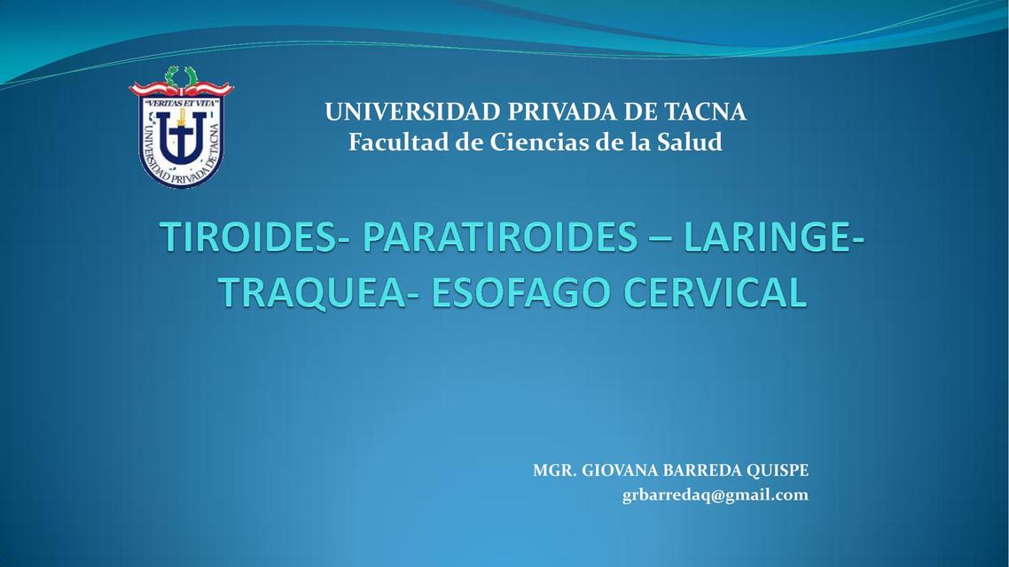 TIROIDES PARATIROIDES LARINGE TRAQUEA ESOFAGO CERVICAL | jhon1069 | uDocz