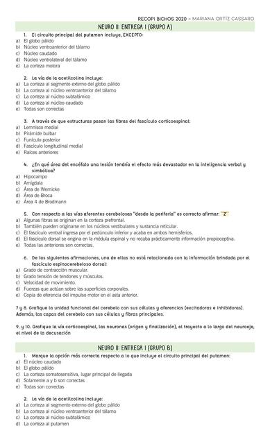 Neuro II | Resumenessss | uDocz