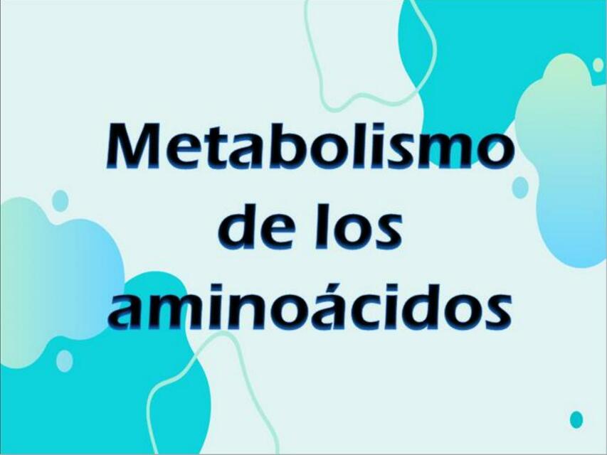 Aminoacidos Escenciales | Ysaac Garcia | uDocz
