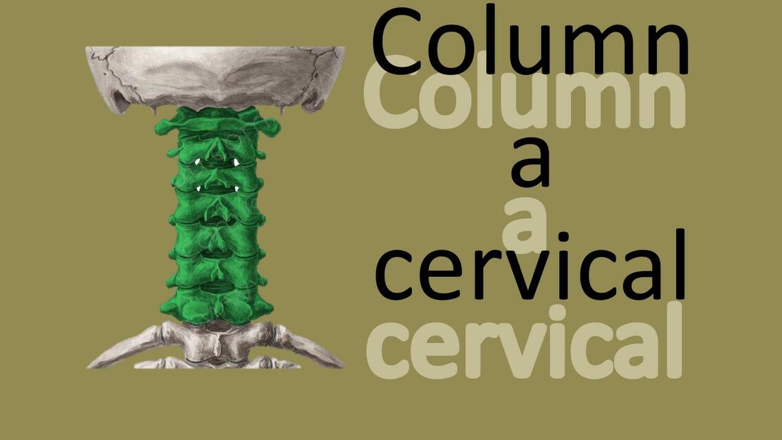 Columna cervical | Daniela Thv | uDocz