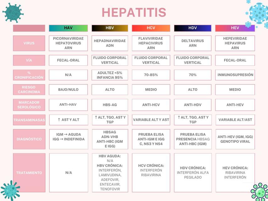 Hepatitis | G | uDocz