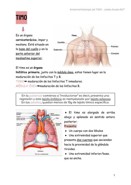 Timo | Julieta Nicole Acosta | uDocz