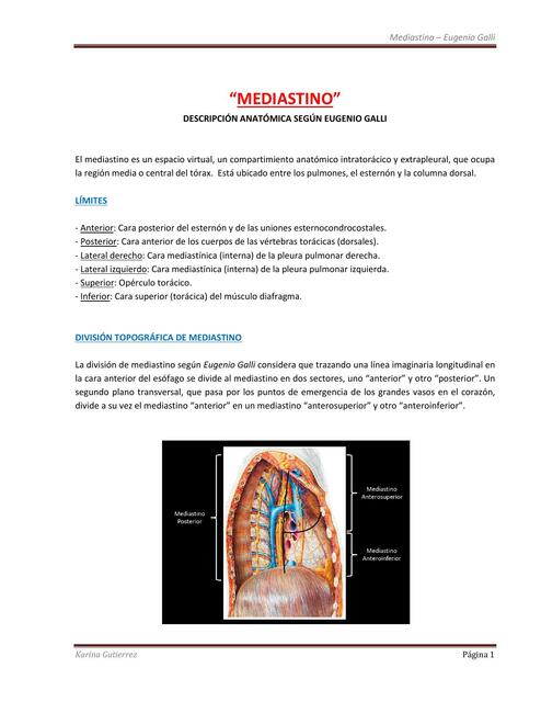 Mediastino | Janet Castillo | uDocz