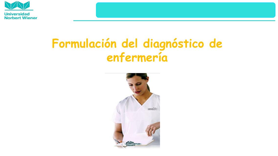 Formulación del diagnóstico de enfermería | Erica AF | uDocz