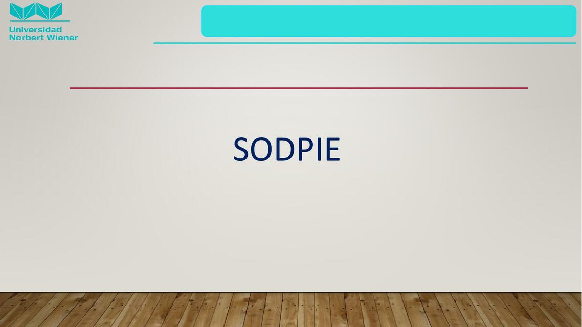 SODPIE | Erica AF | uDocz