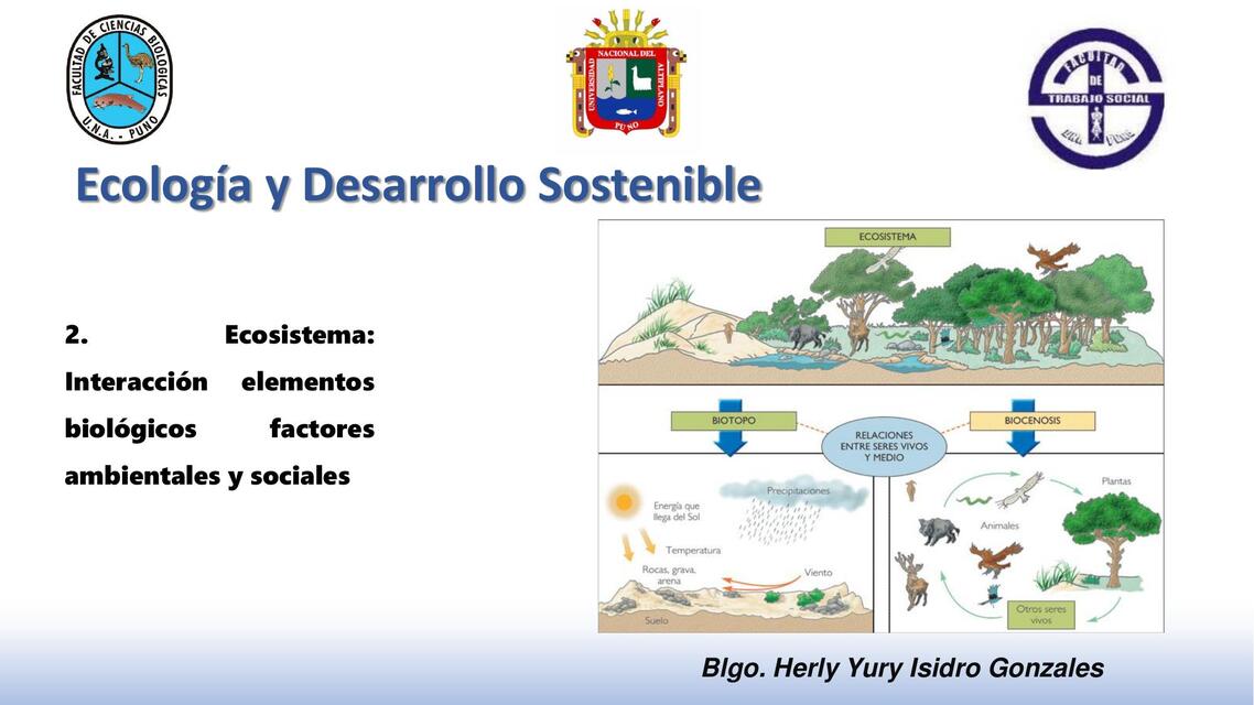 Ecología y desarrollo sostenible | Estadística e informática | uDocz