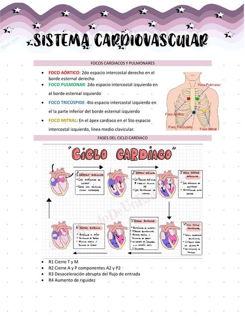 EXPLORACION DEL SISTEMA CARDIOVASCULAR | Zoe Mandujano | uDocz