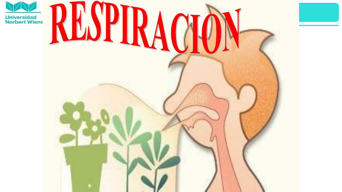 Respiración | Erica AF | uDocz