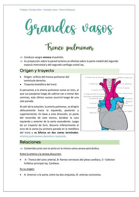 Grandes vasos (Rouviere, completo con imágenes) | Fiama | uDocz