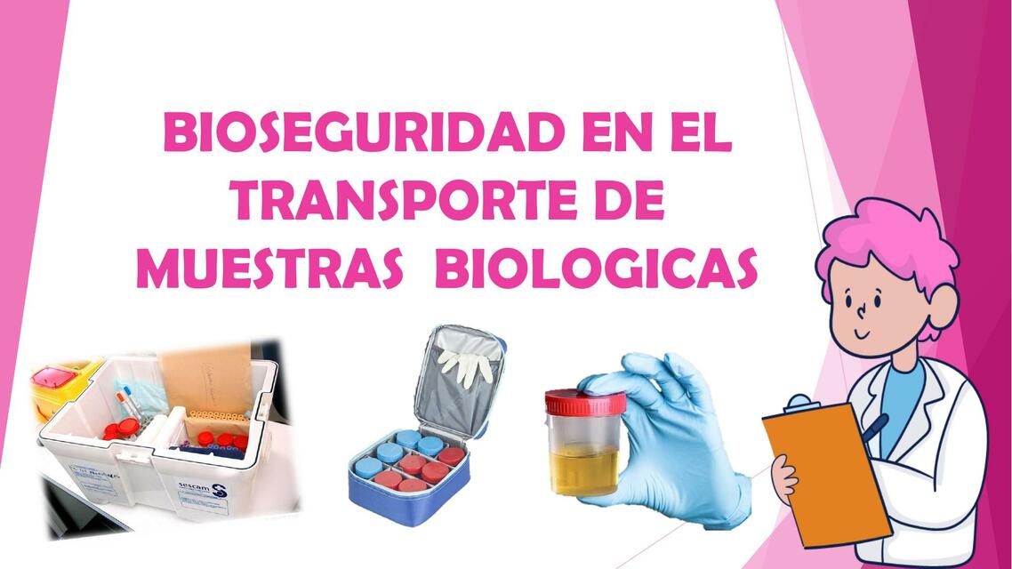 Bioseguridad en el transporte de muestras biologicas | Erika Diestra ...