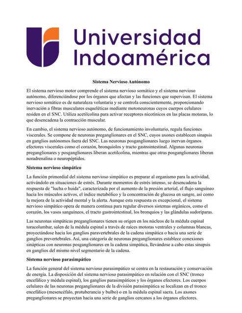 Sistema Nervioso Autónomo resumennn | Frost Uwur | uDocz