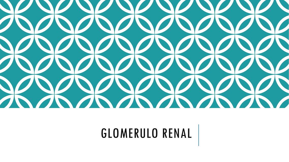 Glomérulo renal | Erica AF | uDocz