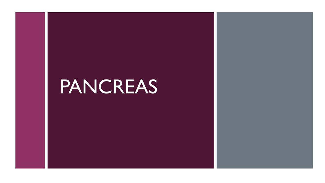 Páncreas | Erica AF | uDocz