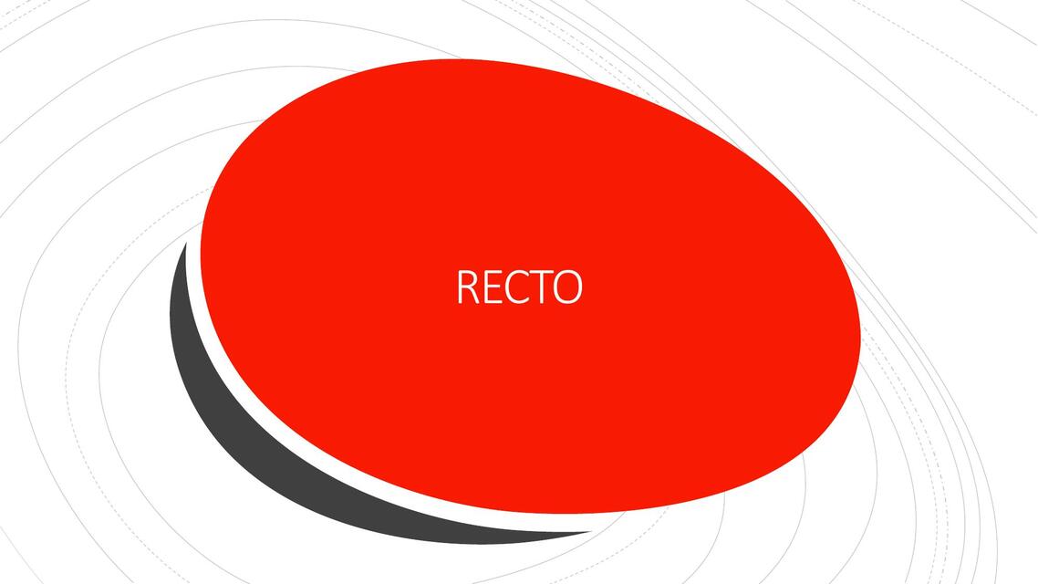 Recto | Erica AF | uDocz
