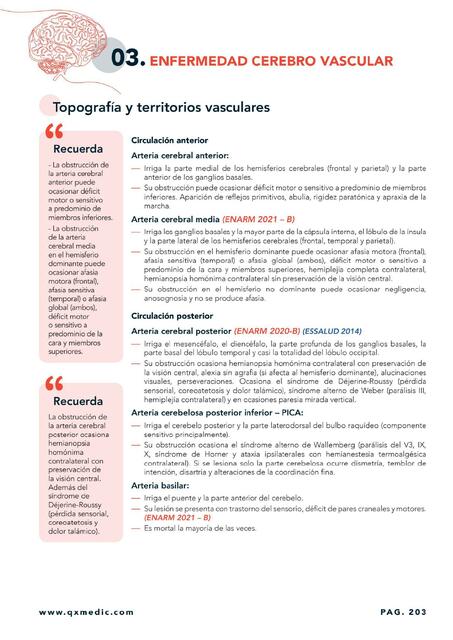 NEUROLOGÍA QX Medic RM 2024 | uDocz