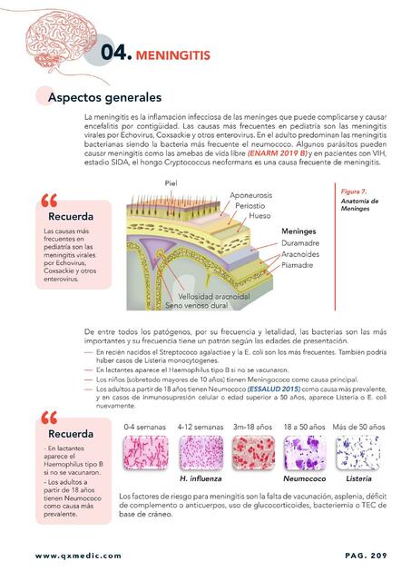 NEUROLOGÍA QX Medic RM 2024 | uDocz