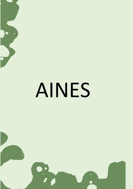 AINES | ARIANA Castillo Flores | uDocz