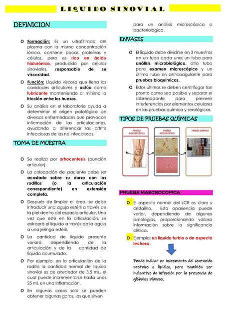 Líquido Sinovial | Betsy | uDocz