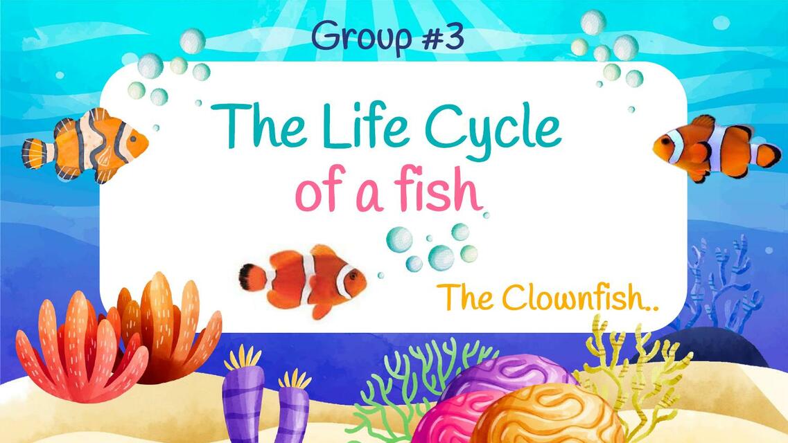 The life cycle of a fish | Silvia | uDocz