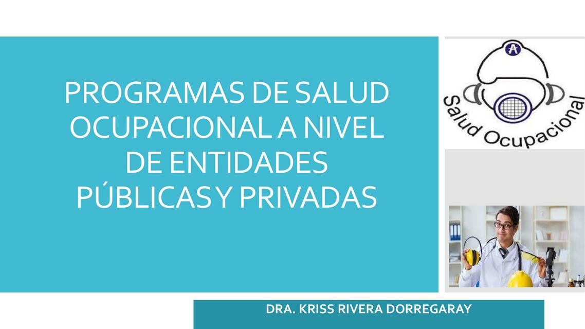 PROGRAMAS DE SALUD OCUPACIONAL A NIVEL DE ENTIDADES | Mishelle Chavez ...