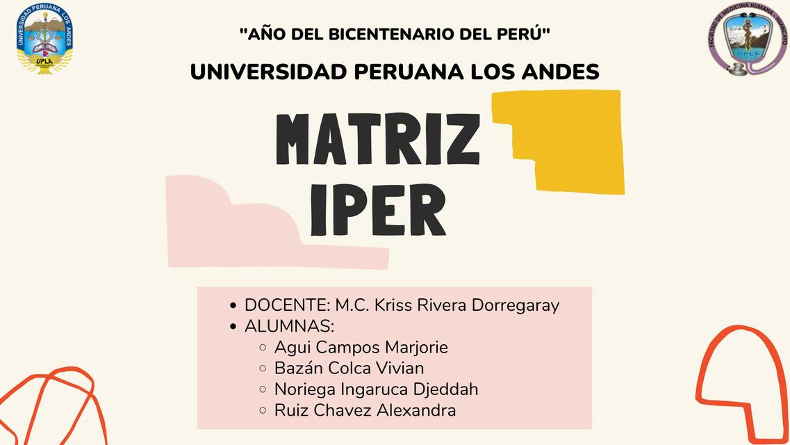 Matriz IPER | Mishelle Chavez | uDocz