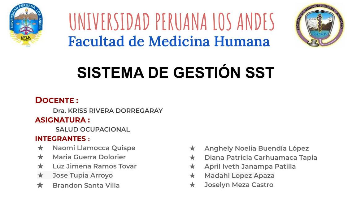 SISTEMA DE GESTION SST | Mishelle Chavez | uDocz