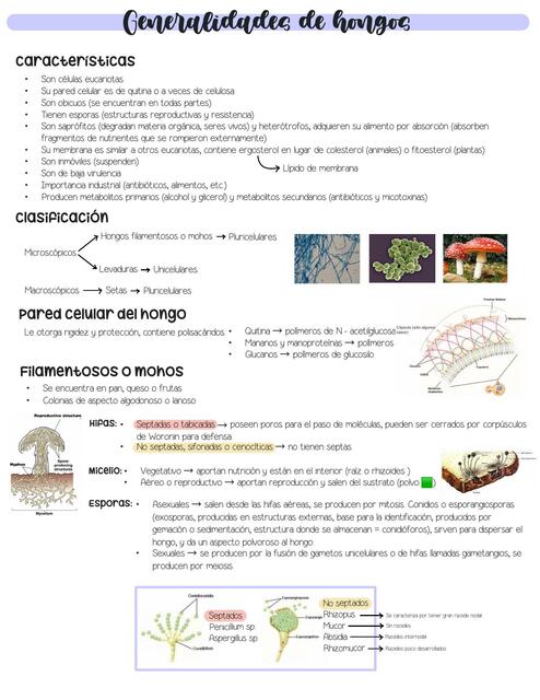 Generalidades de los Hongos | Odonto student | uDocz