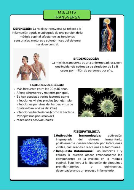 Mielitis transversa | Manuel Rubio | uDocz