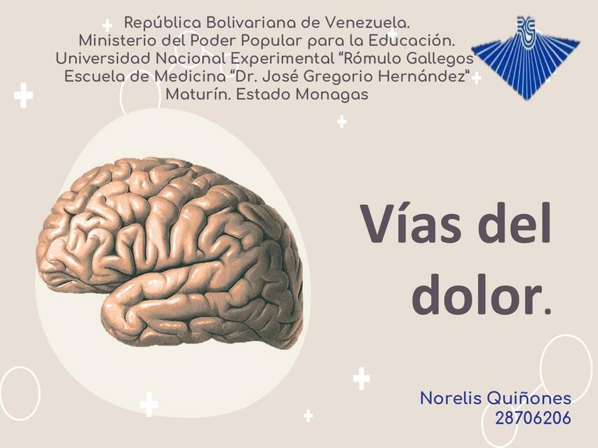 Vias del dolor | Norelis | uDocz