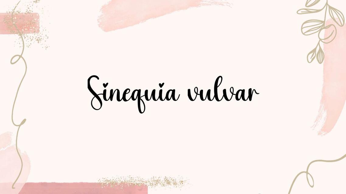 Sinequia Vulvar | Linda Betanco | uDocz