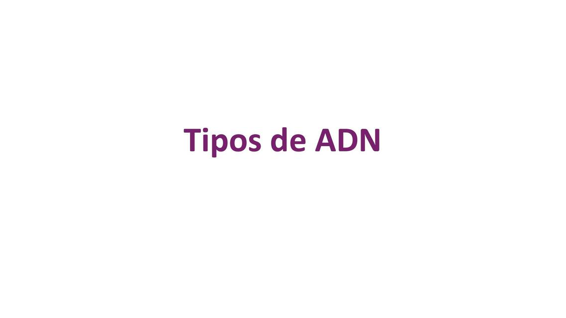 Tipos de ADN | Erica AF | uDocz