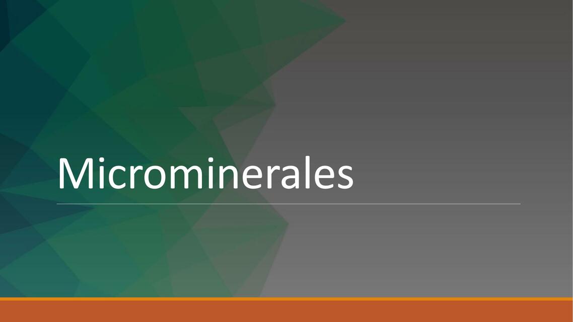Microminerales | Erica AF | uDocz