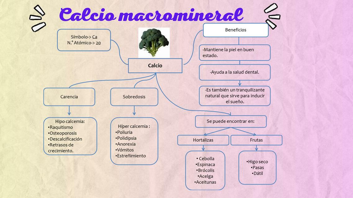 CALCIO MACROMINERAL | Erica AF | uDocz