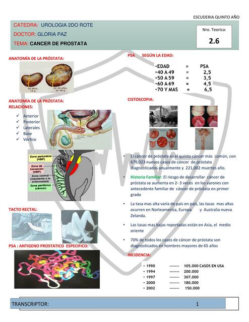 Cáncer de Próstata | Francis Mamani | uDocz