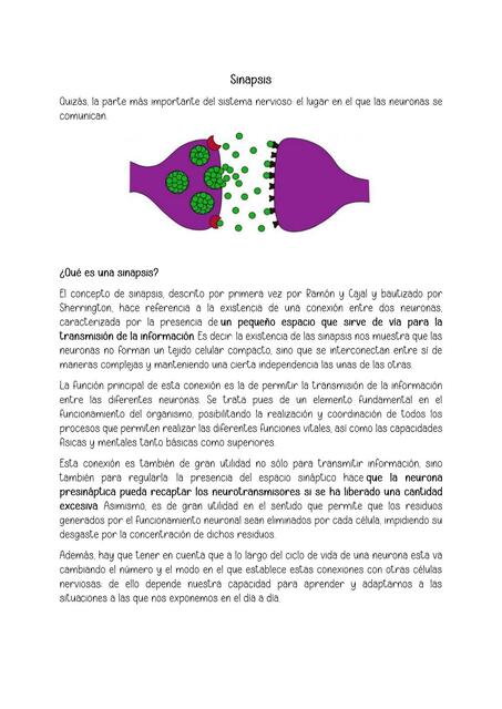 Qué es una Sinapsis | developer.ishtar | uDocz