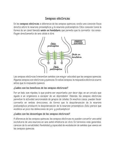 Sinapsis eléctricas | developer.ishtar | uDocz