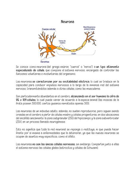 Neurona | developer.ishtar | uDocz