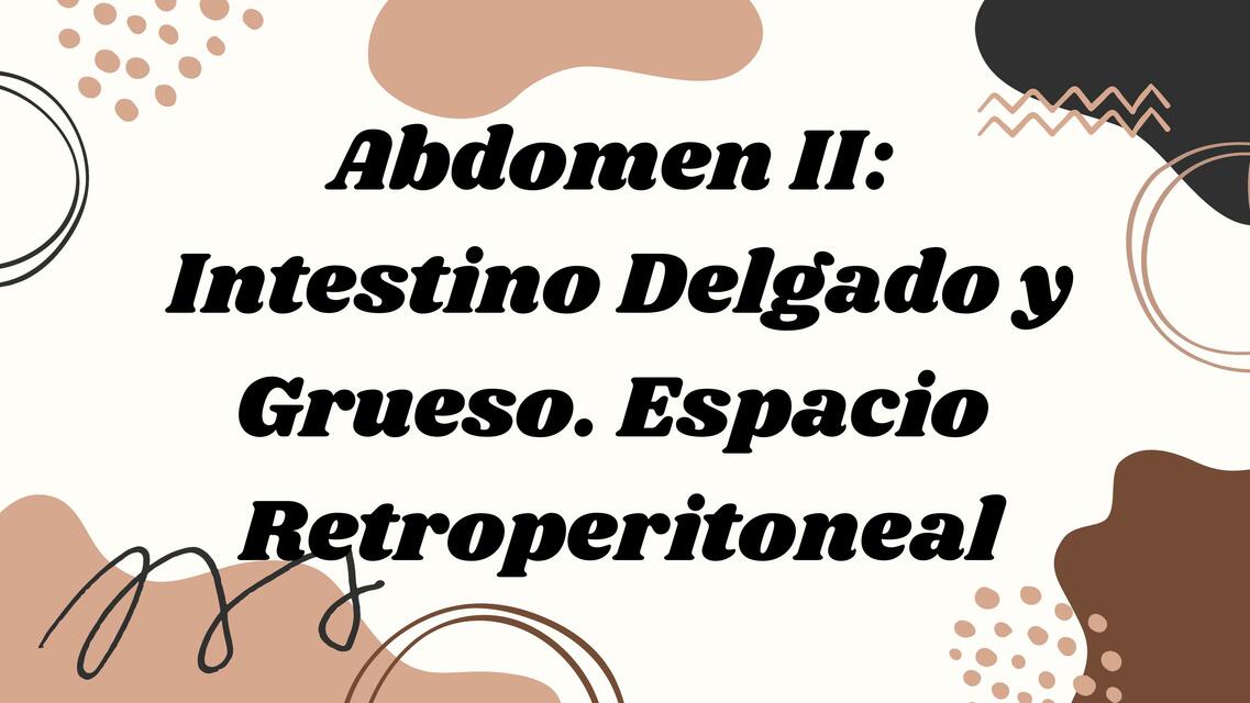 Abdomen II: Intestino Delgado yGrueso. Espacio Retroperitoneal | Itatí ...