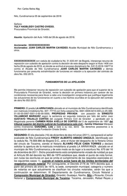 Recurso de Reposición y en subsidio el de apelación minuta impugnación ... Recurso de Reposición y en subsidio el de apelación minuta impugnación ...