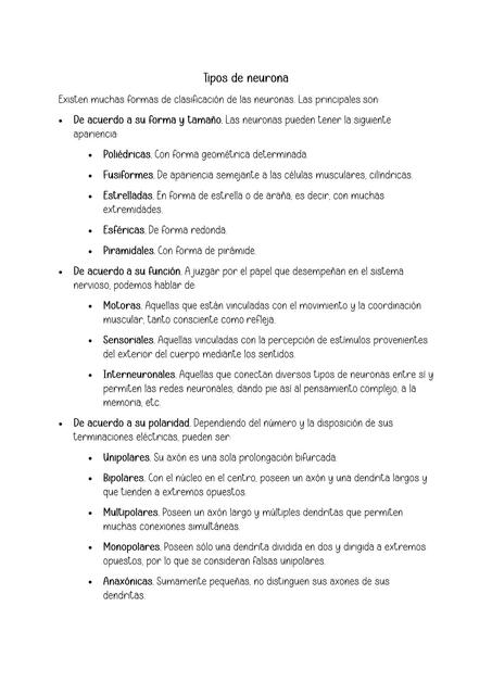 Tipos de neurona | developer.ishtar | uDocz
