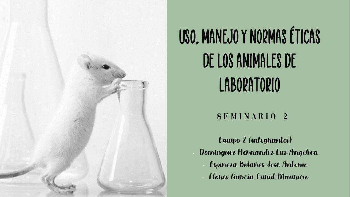 Uso manejo y normas éticas de los animales de laboratorio | Ranita ...