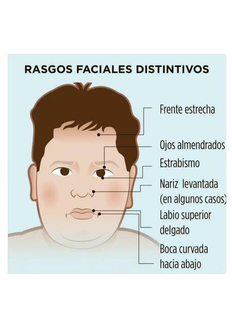 Rasgos Faciales Distintivos | Ysaac Garcia | uDocz