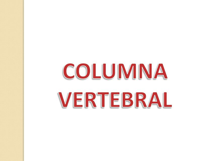 Flashcards de Columna Vertebral | Por Ysaac Garcia | uDocz