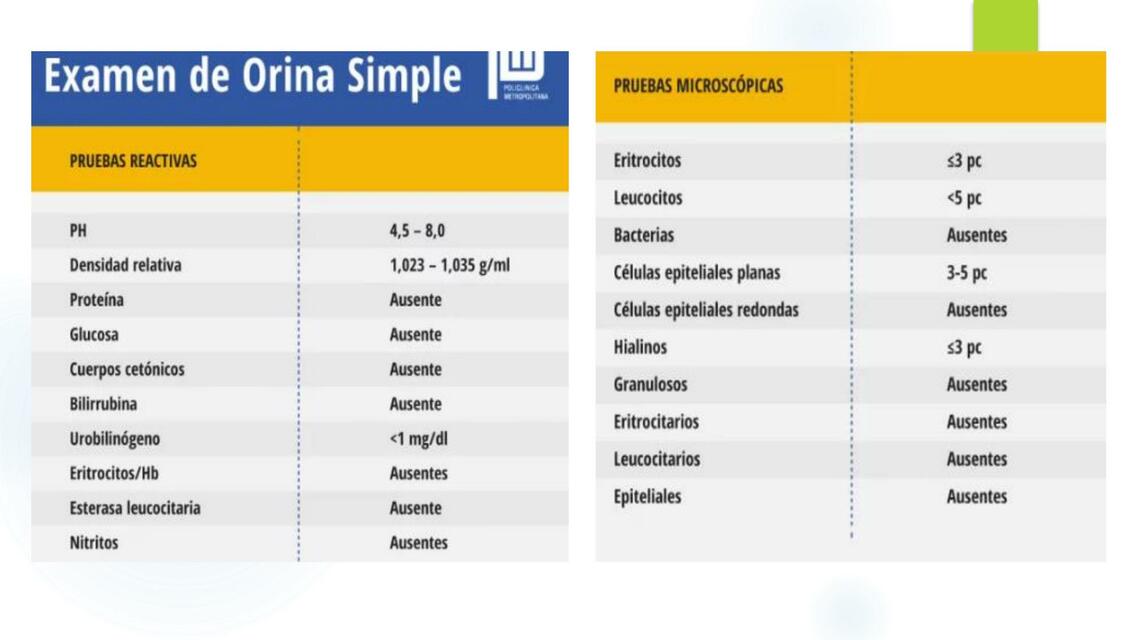 Examen de Orina Simple | DIGITAL MEDICINA | uDocz