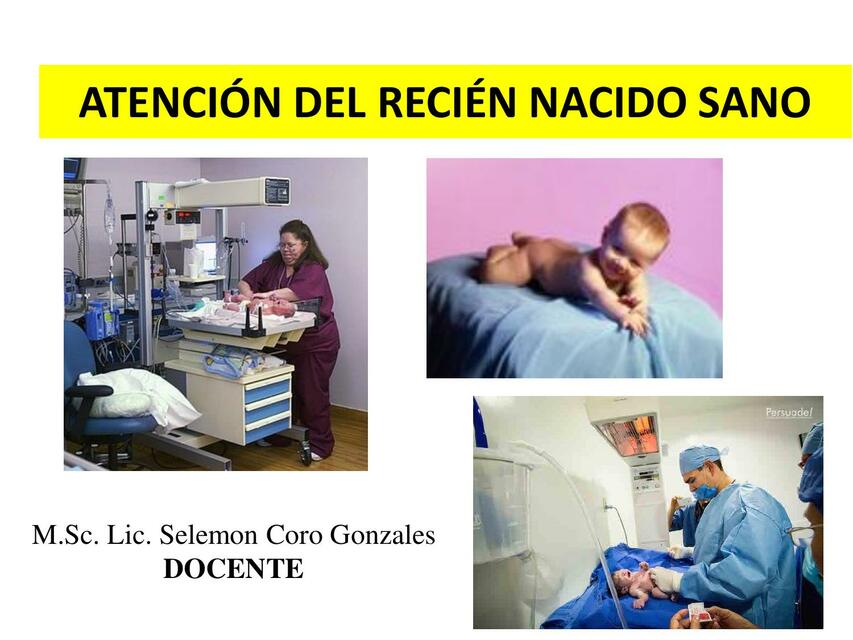 Atención del Recién Nacido Sano | Claudia Caihuara | uDocz