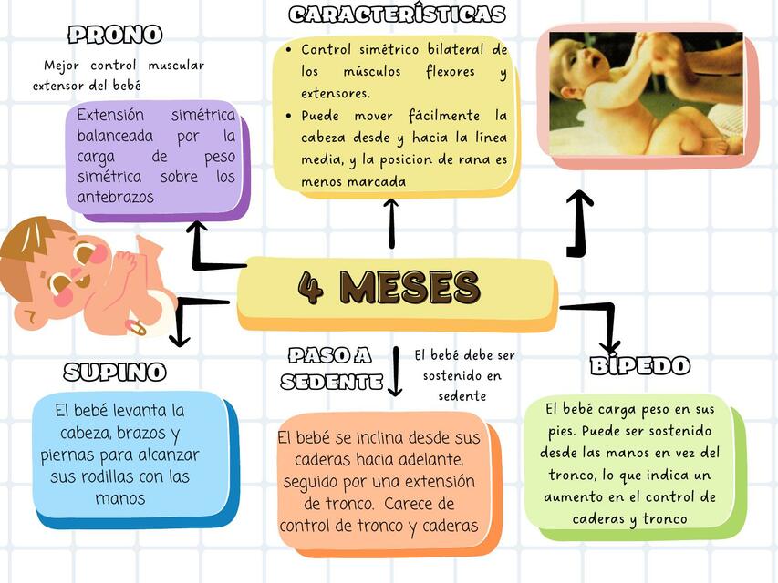 Desarrollo motor a los 4 meses de vida | estudiofisio | uDocz