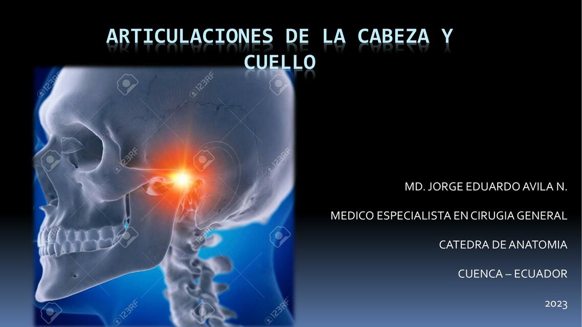 Tema 6 Articulación de la Cabeza y cuello | David Marcillo | uDocz